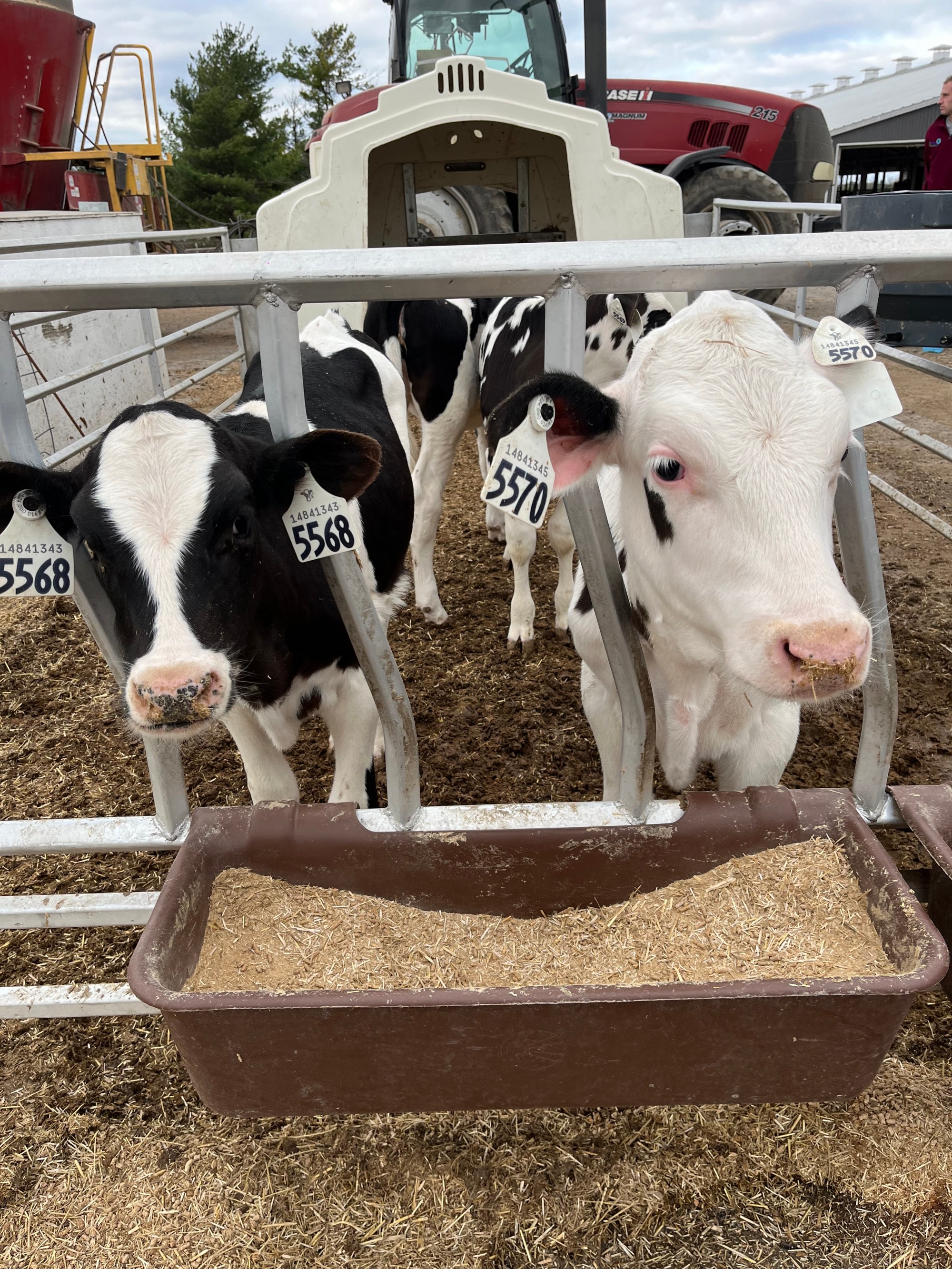 News – Yorkshire Federation of Young Farmers' Clubs